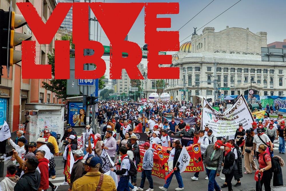 Vive Libre – INTELISPORT